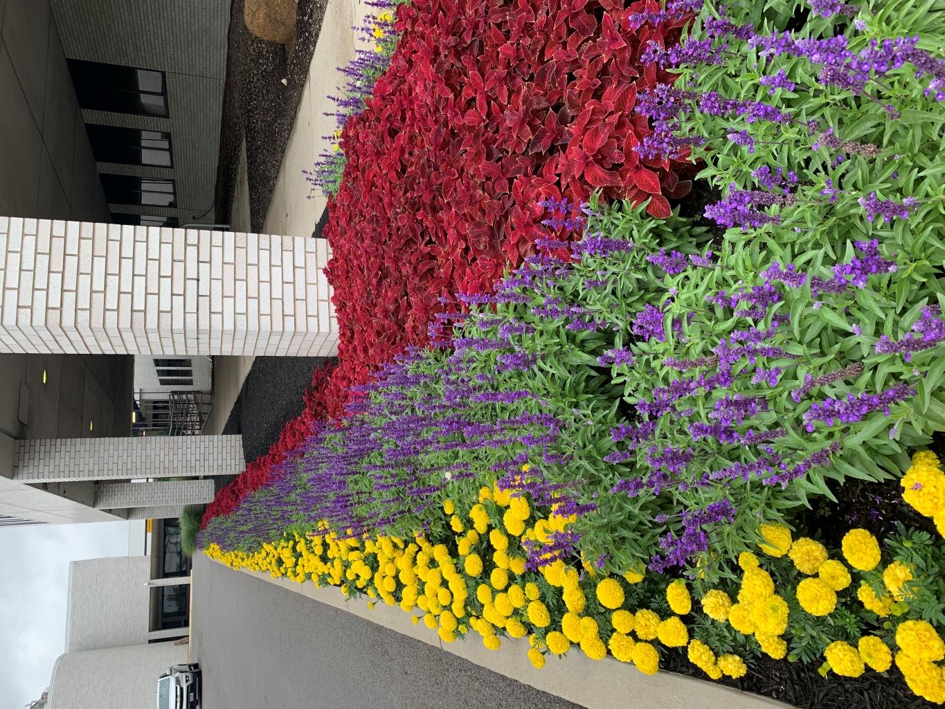 Buck and Sons Landscape Service | Columbus Landscaping