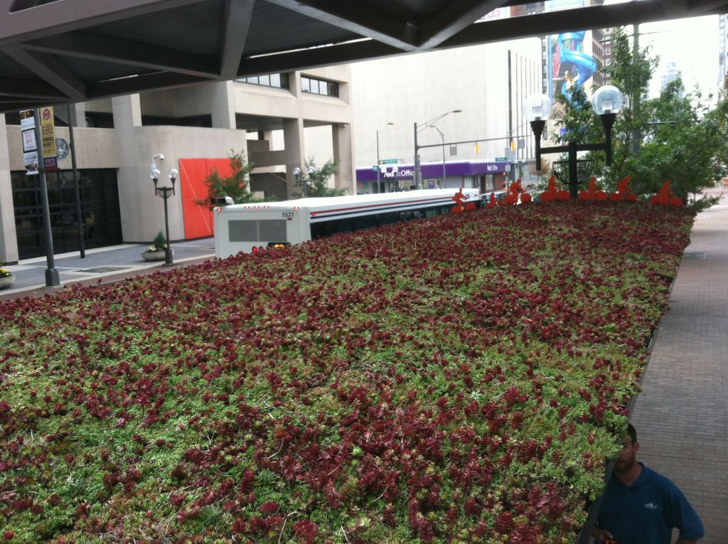 Buck and Sons Landscape Service | Columbus Landscaping